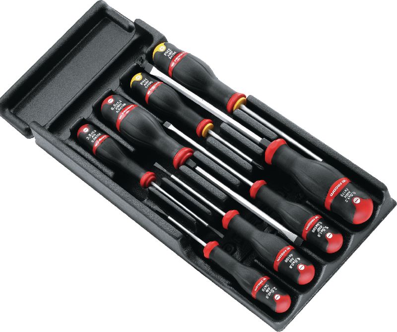 Module FACOM, screwdriver set | BRW