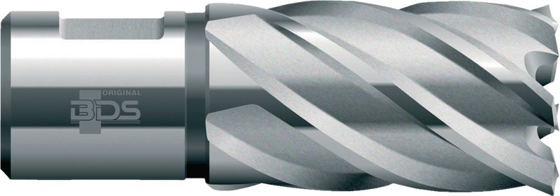 HSS-Kernbohrer BDS | BRW-CH