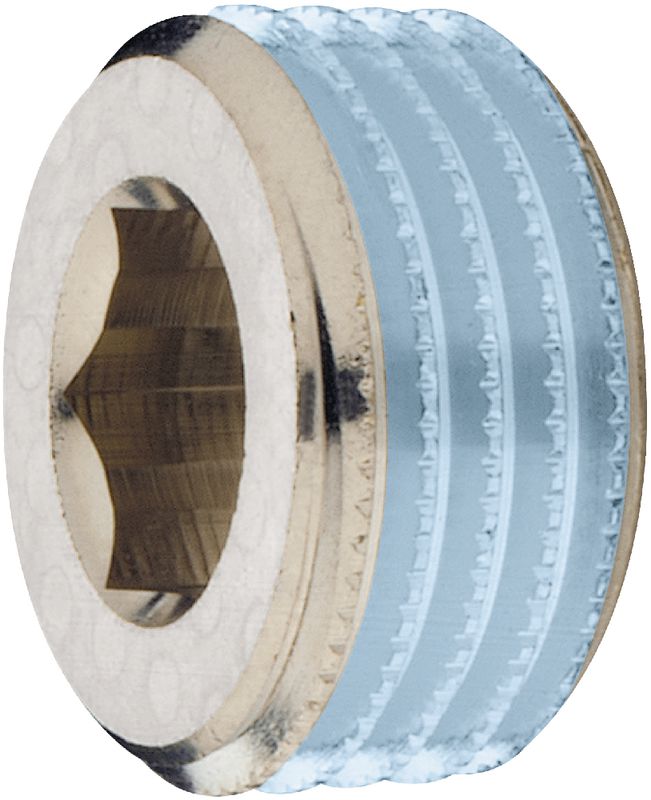 Hexagon socket plug screw | BRW