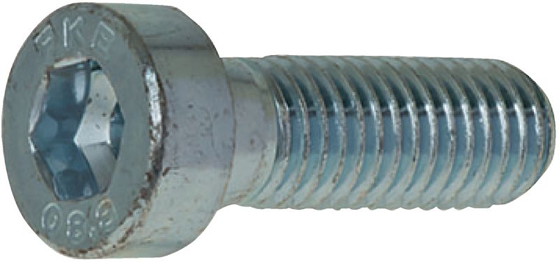 Hex socket head cap screws with low head and pilot recess | BRW