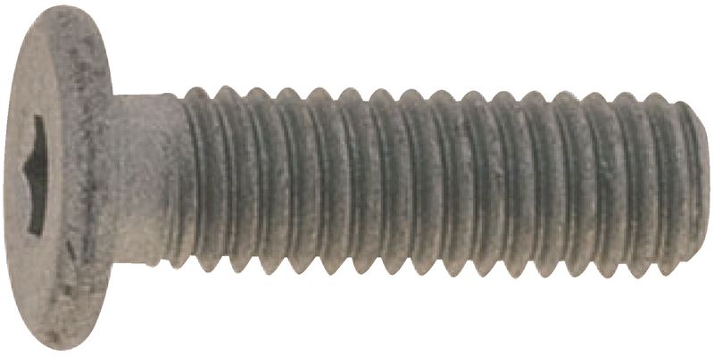 Hex socket head cap screws with special low head | BRW-CH