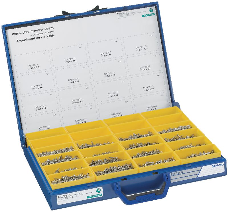 Blechschrauben-Sortiment Typ DS 16, in Blechkasten | BRW-CH