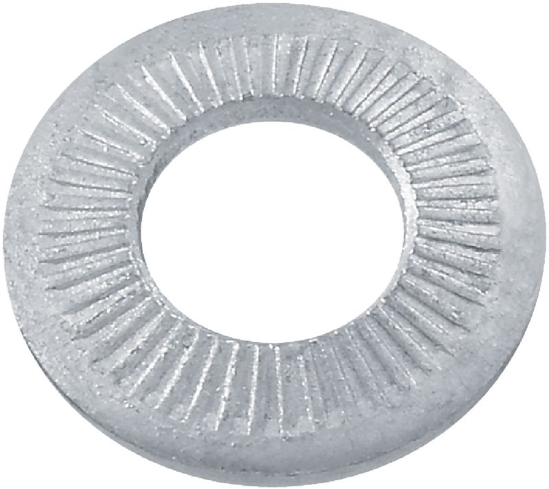 Sicherungsscheiben Rip-Lock™ | BRW