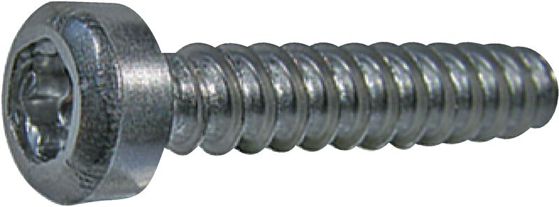 DELTA PT® pan head screws type WN 5452with Torx plus® / Autosert® | BRW-CH