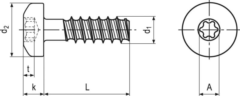 DELTA PT® pan head screws type WN 5452with Torx plus® / Autosert® | BRW-CH